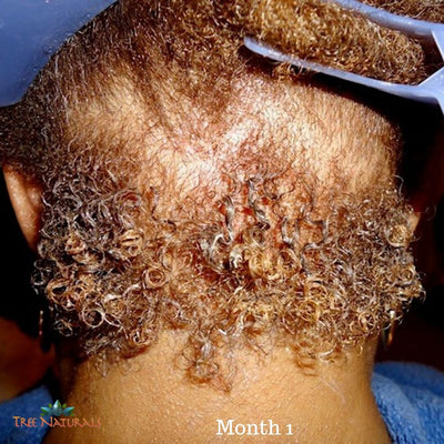Tree-O Natural Hair Bundle – Tree Naturals